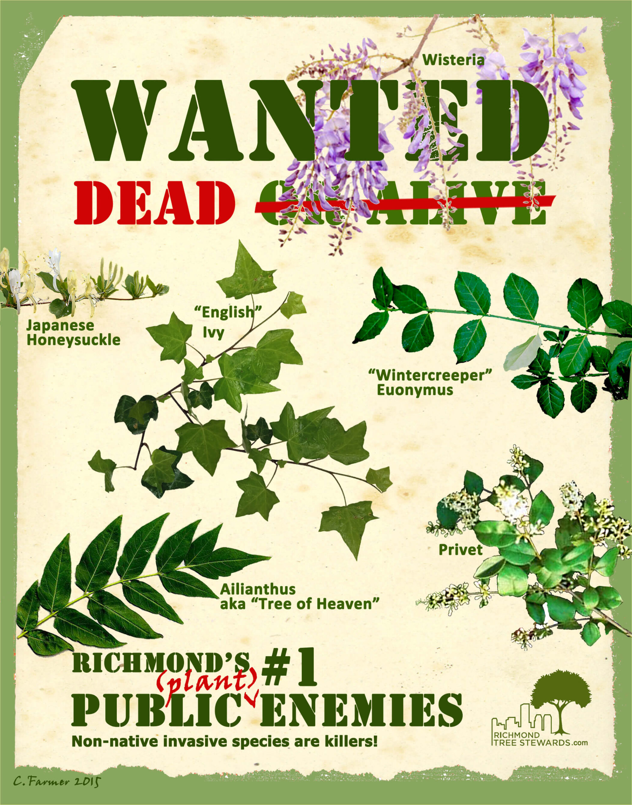 Belle Isle Project - Richmond Tree Stewards